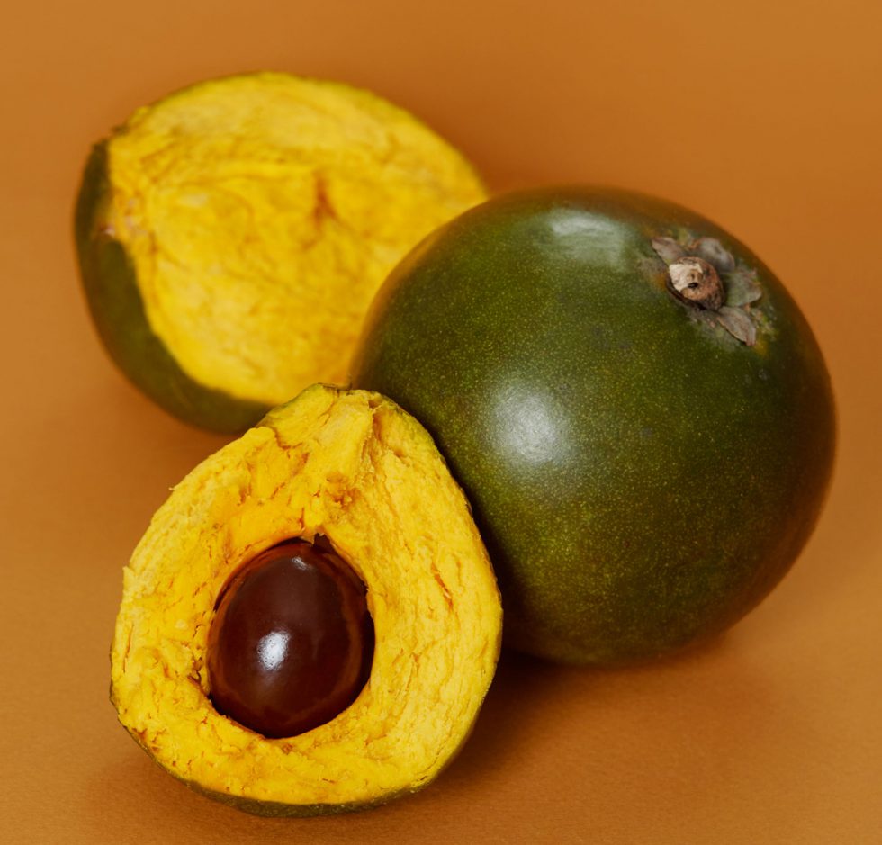 Lucuma - Mariposa Andina